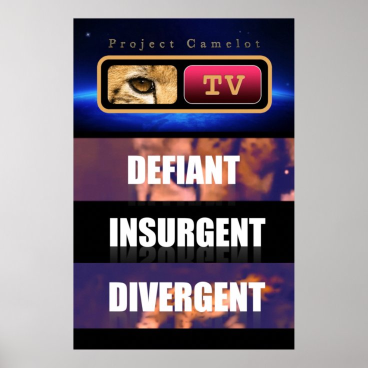 PROJECT CAMELOT POSTER | Zazzle