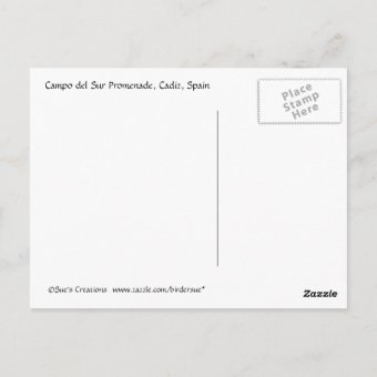 Promenade in Cadiz, Spain (Painted) Postcard | Zazzle