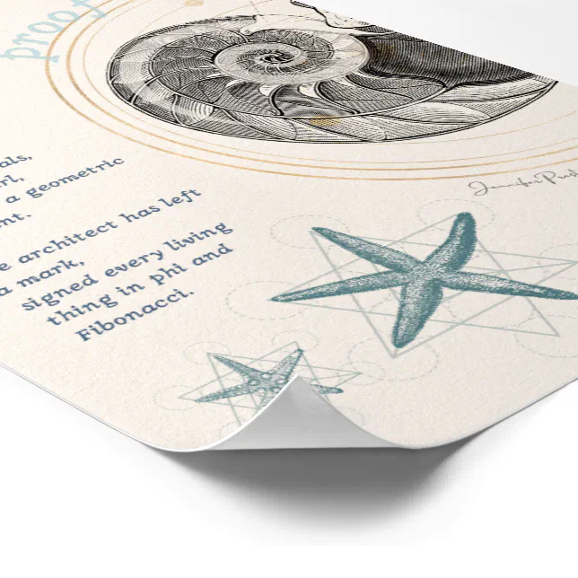 Proof seashell nautilus fibonacci design poster | Zazzle