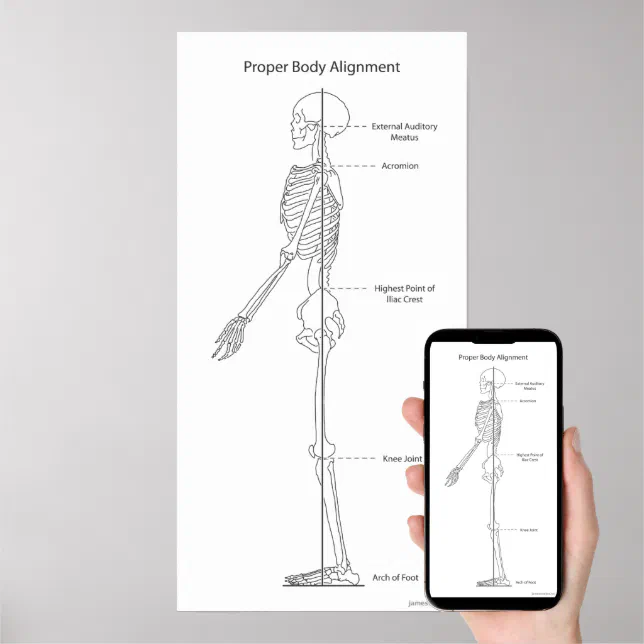 Proper Body Alignment Poster | Zazzle