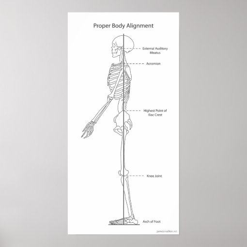 Proper Body Alignment Poster | Zazzle