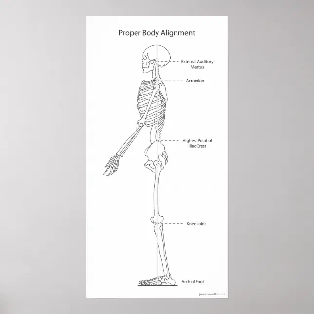 Proper Body Alignment Poster | Zazzle
