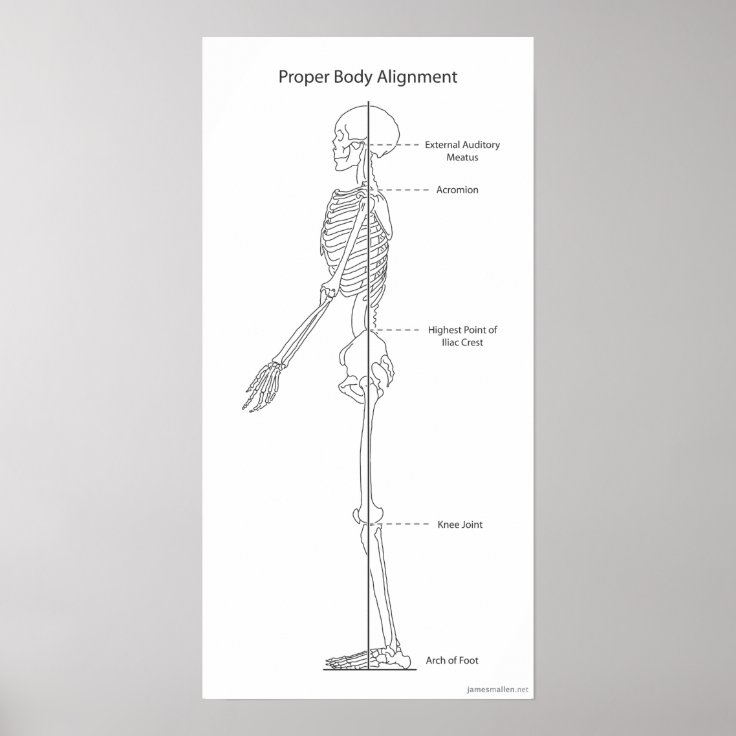 Proper Body Alignment Poster | Zazzle