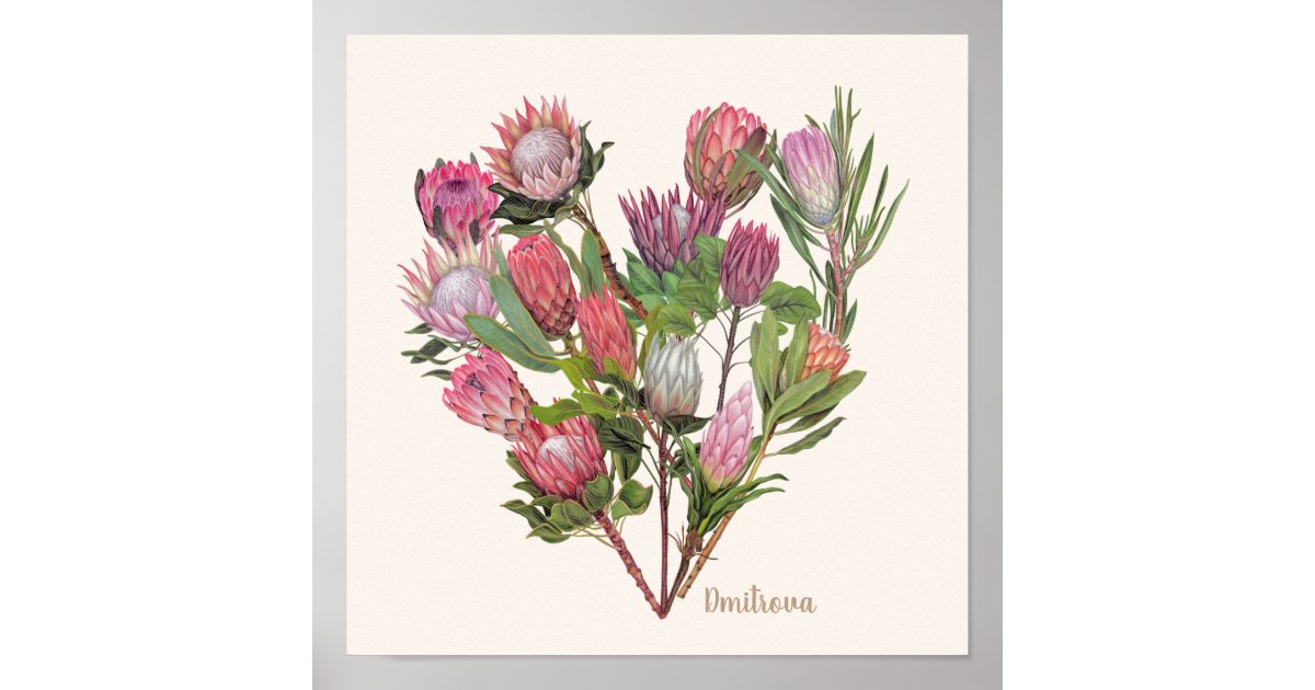 Protea Poster Small | Zazzle