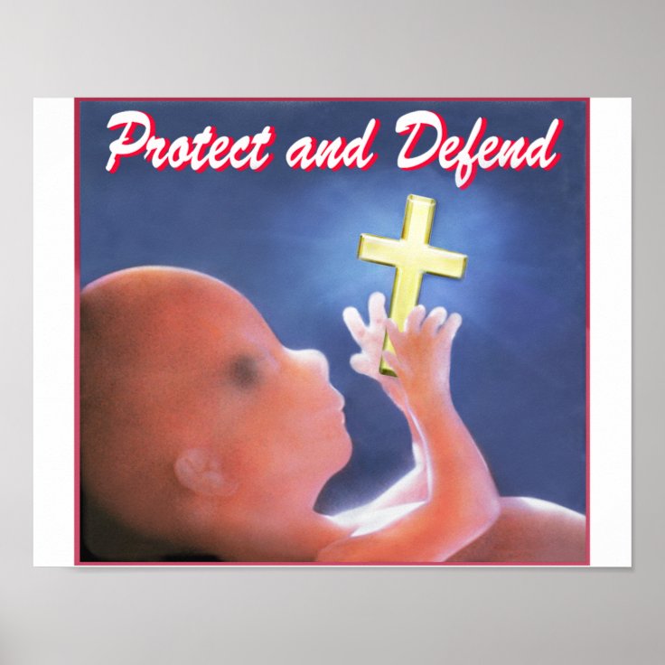 Protect and Defend Poster | Zazzle