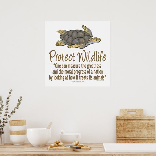 Protect Sea Turtles Poster | Zazzle