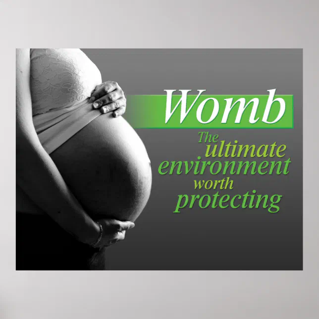 Protect the Womb Poster | Zazzle