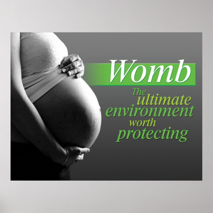 Protect the Womb Poster | Zazzle.com