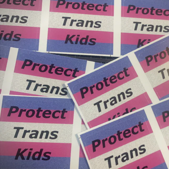 Protect Trans Kids Sticker | Zazzle