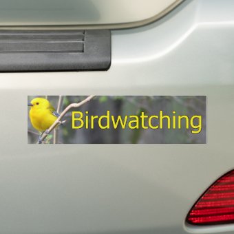 Prothonatary Warbler Logo Bumper Sticker | Zazzle