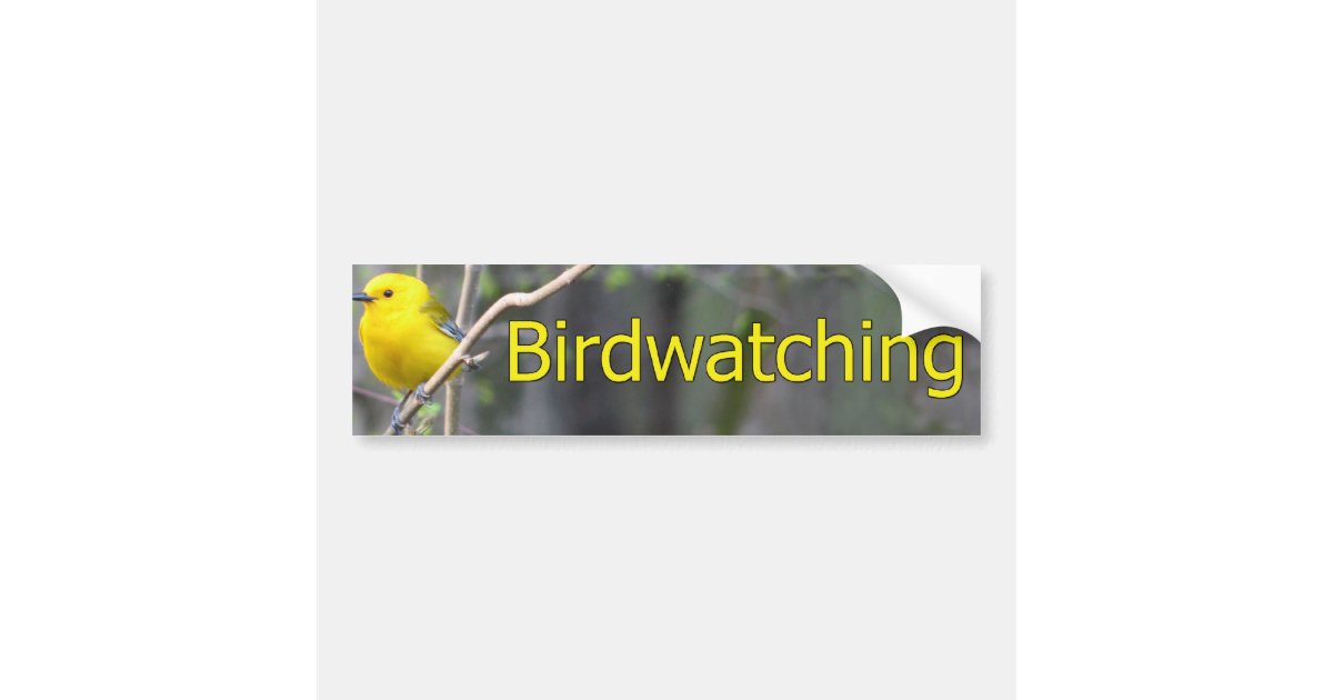 Prothonatary Warbler Logo Bumper Sticker | Zazzle