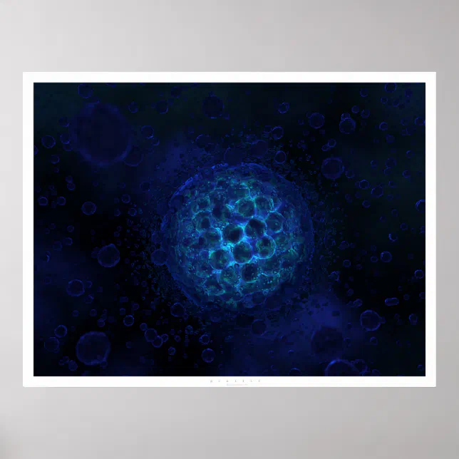 Protist Poster | Zazzle
