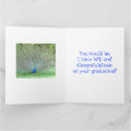 Proud As A Peacock/Congratulations On Graduation Card | Zazzle