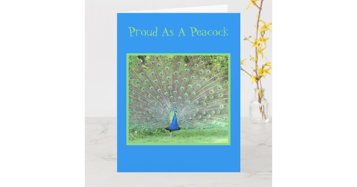 Proud As A Peacock/Congratulations On Graduation Card | Zazzle