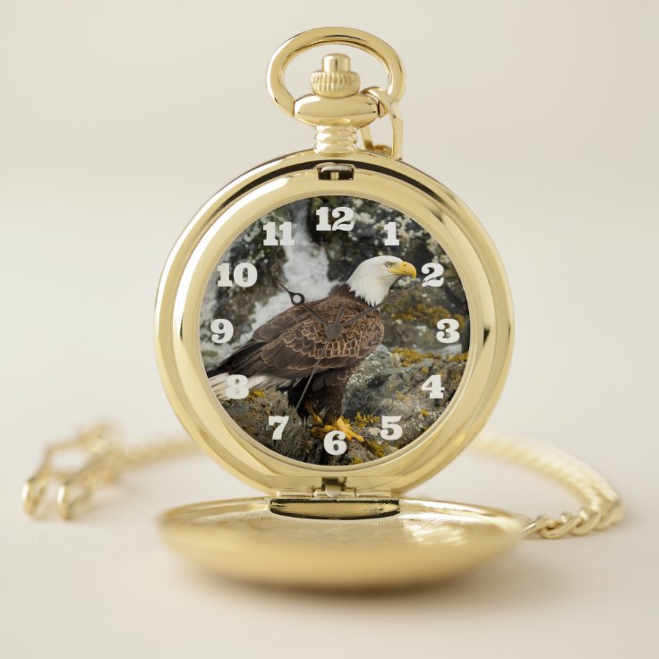 Proud Bald Eagle Pocket Watch | Zazzle