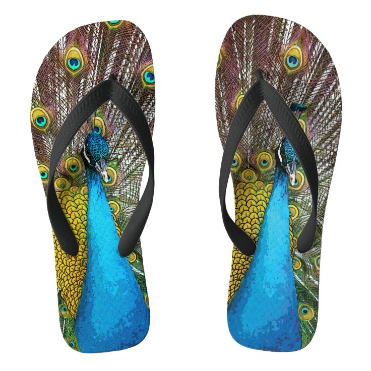 Proud Peacock Flip Flops | Zazzle