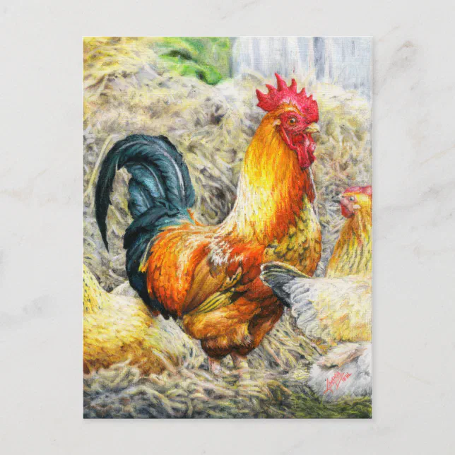 Proud Rooster Postcard | Zazzle