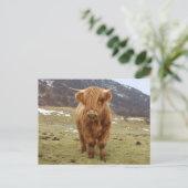 Proud to be Scottish! Postcard | Zazzle