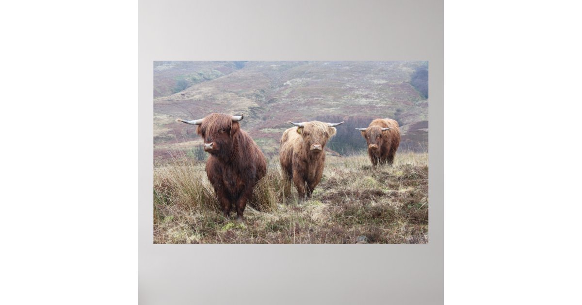 Proud To Be Scottish! Poster | Zazzle