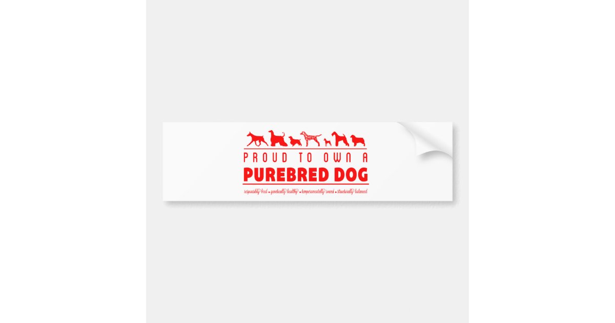 Proud to Own a Purebred Dog: Red Bumper Sticker | Zazzle