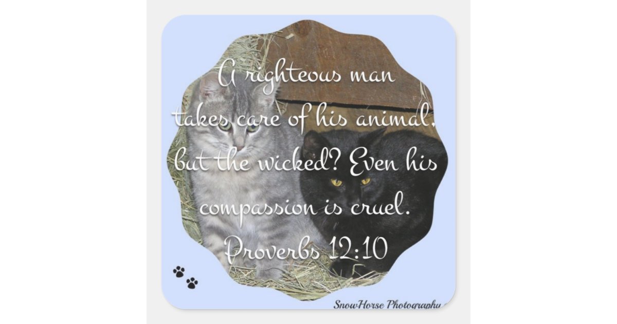 Proverbs 12:10 square sticker | Zazzle
