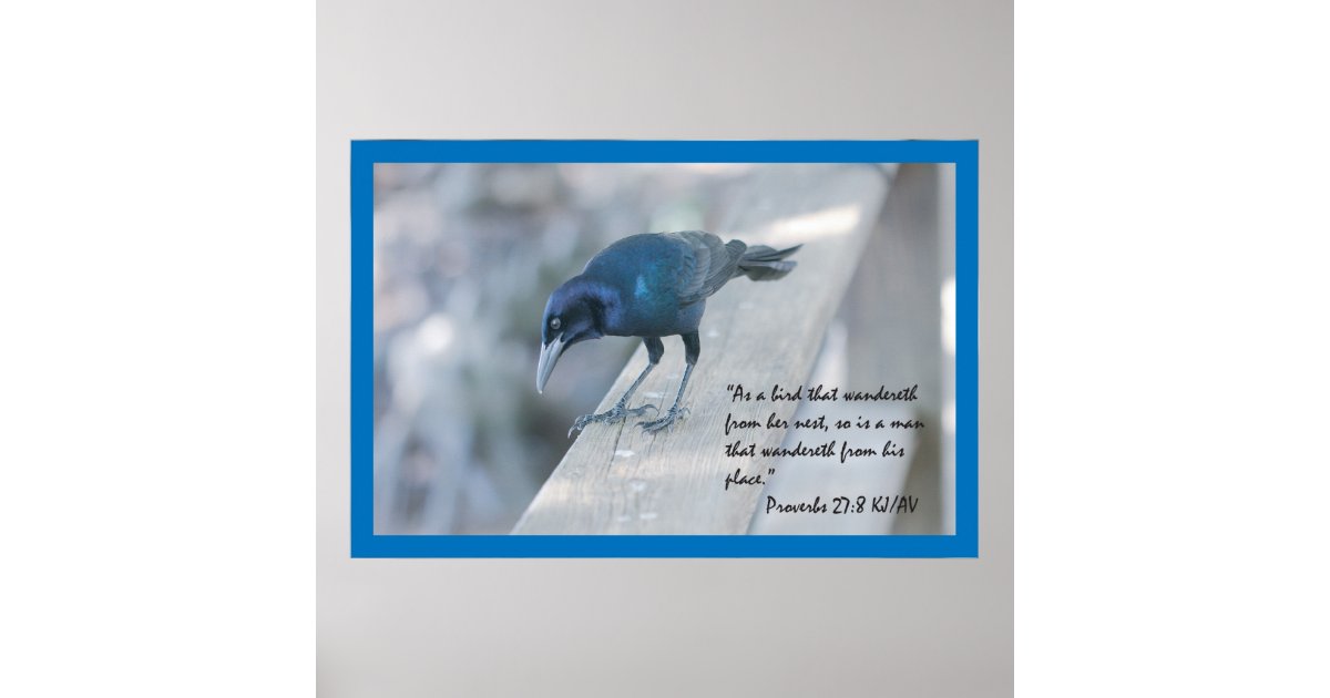 Proverbs 27:8 Scripture Poster | Zazzle