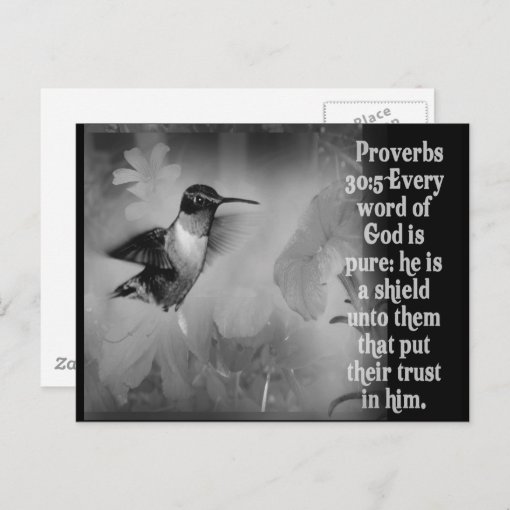 Proverbs 30:5 BIBLE SCRIPTURE with Hummingbird Postcard | Zazzle
