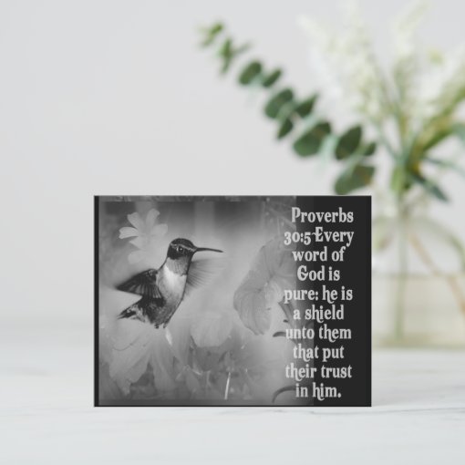 Proverbs 30:5 BIBLE SCRIPTURE with Hummingbird Postcard | Zazzle