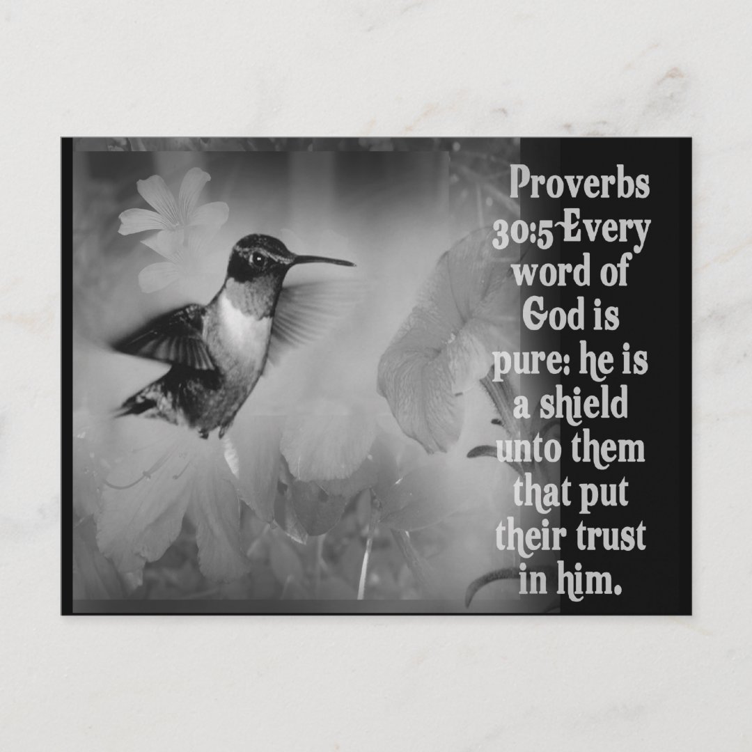 Proverbs 30:5 BIBLE SCRIPTURE with Hummingbird Postcard | Zazzle