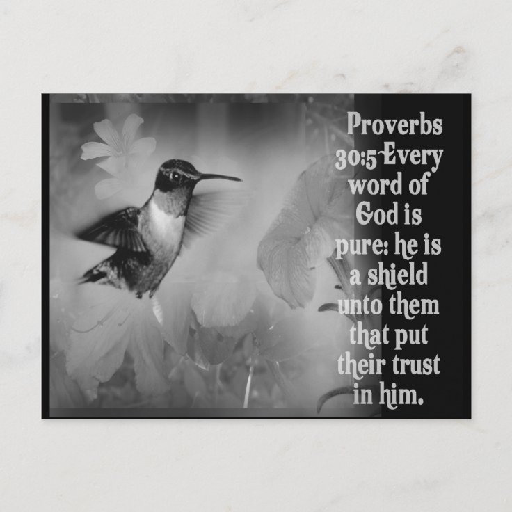 Proverbs 30:5 BIBLE SCRIPTURE with Hummingbird Postcard | Zazzle