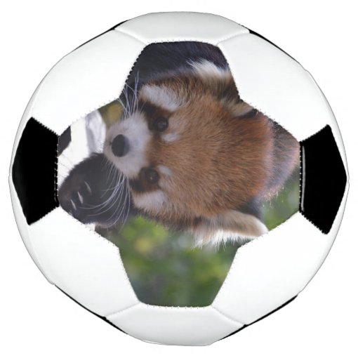 Prowling Red Panda Soccer Ball | Zazzle