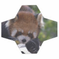 Prowling Red Panda Soccer Ball | Zazzle