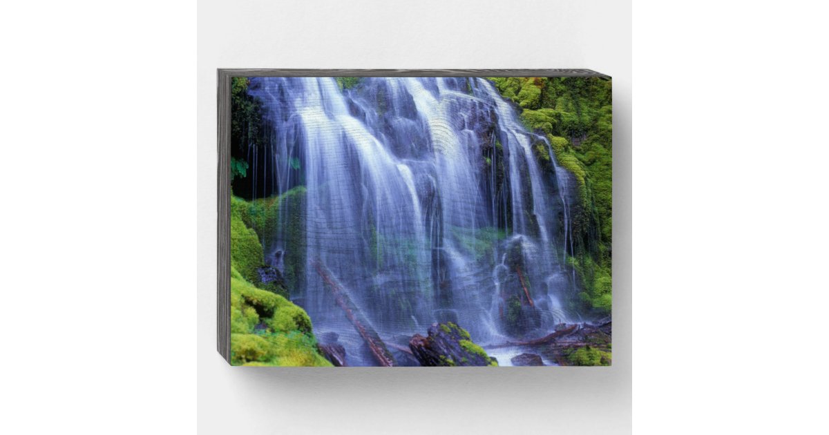 Proxy Falls in Oregon's Central Cascade Mountains Wooden Box Sign | Zazzle