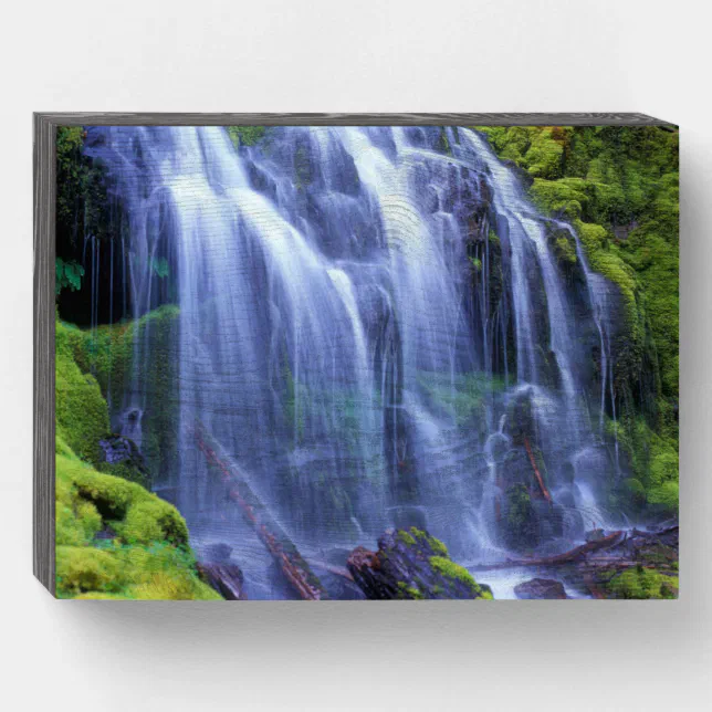 Proxy Falls in Oregon's Central Cascade Mountains Wooden Box Sign | Zazzle