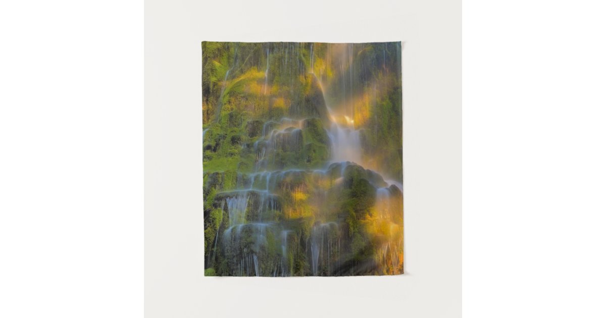 Proxy Falls Three Sisters Wilderness Oregon Tapestry | Zazzle