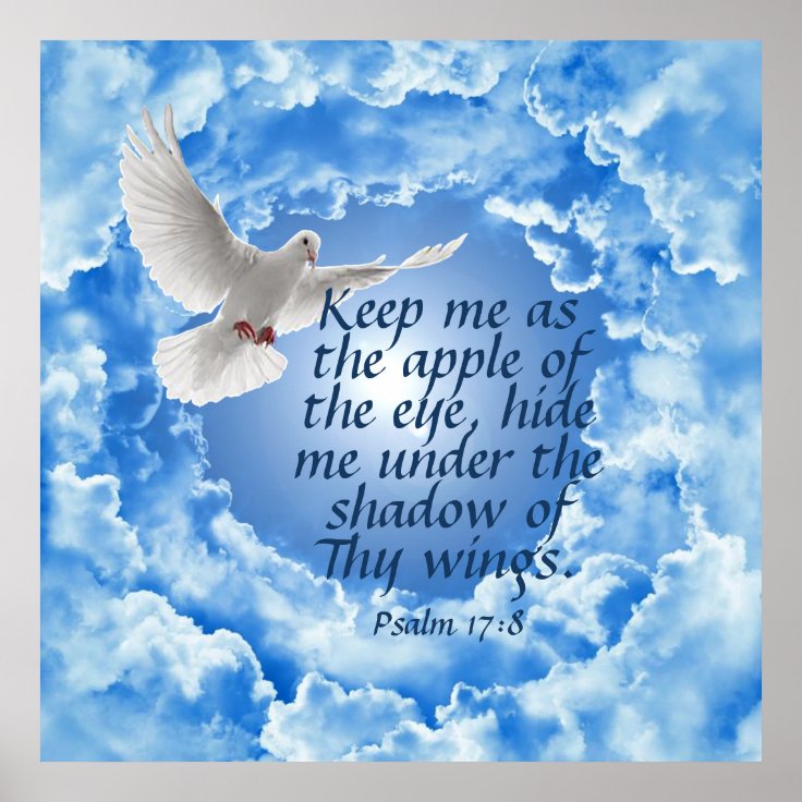 Psalm 17:8 poster | Zazzle