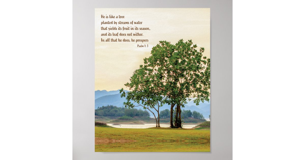 Psalm 1: 3 bible verse scripture art gifts poster | Zazzle
