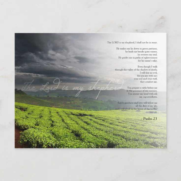 Psalm 23 The LORD is my shepherd - Bible Postcard | Zazzle