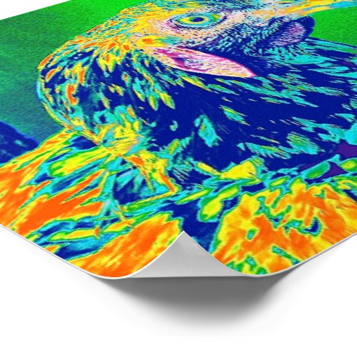 "Psychedelic Rooster" Poster | Zazzle