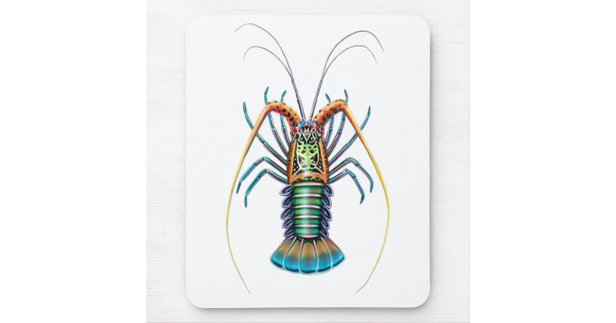 Psychedelic Spiny Lobster Mousepad | Zazzle