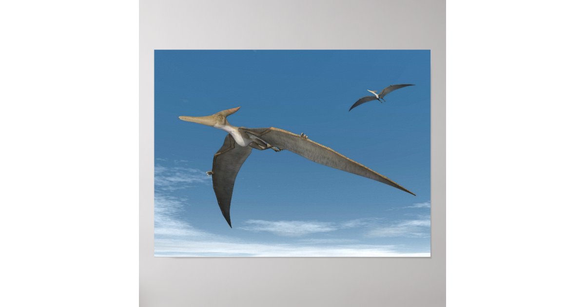 Pteranodon dinosaurs flying - 3D render Poster | Zazzle