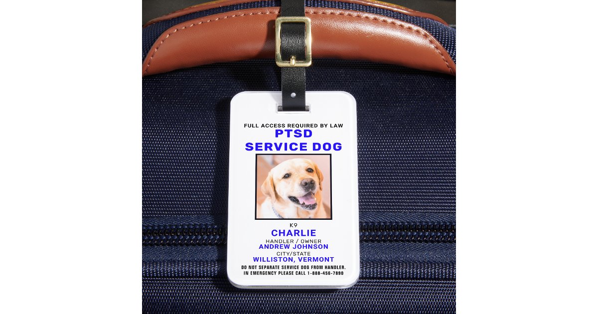 Service Dog Holographic PTSD ID Card & Badge - ADA Compliant Assistance ...
