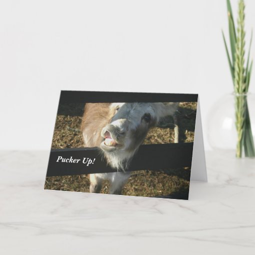 Pucker Up! Holiday Card | Zazzle