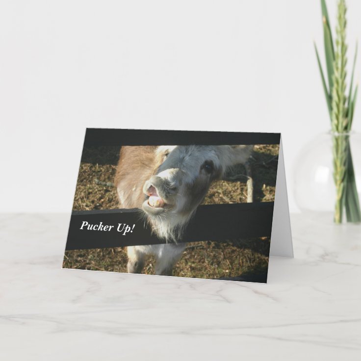 Pucker Up! Holiday Card | Zazzle