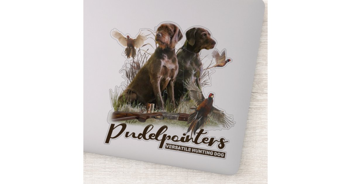 Pudelpointers, Hunting pheasant Sticker | Zazzle