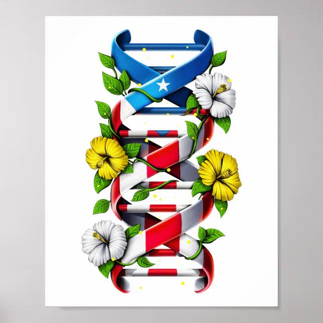 Puerto Rico Boricua DNA Chain Poster | Zazzle
