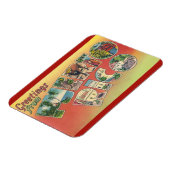 Puerto Rico Magnet | Zazzle