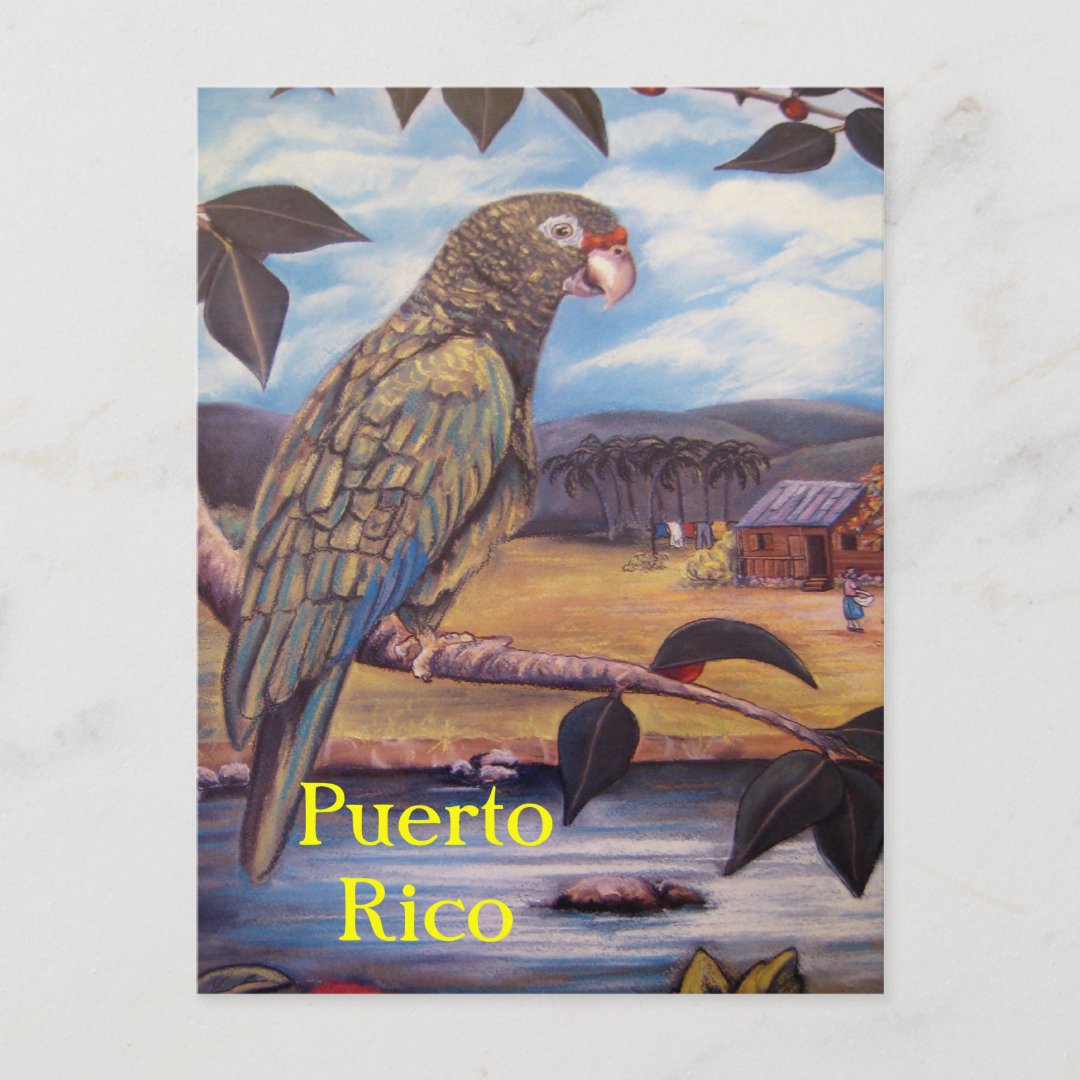 Puerto Rico Postcard | Zazzle