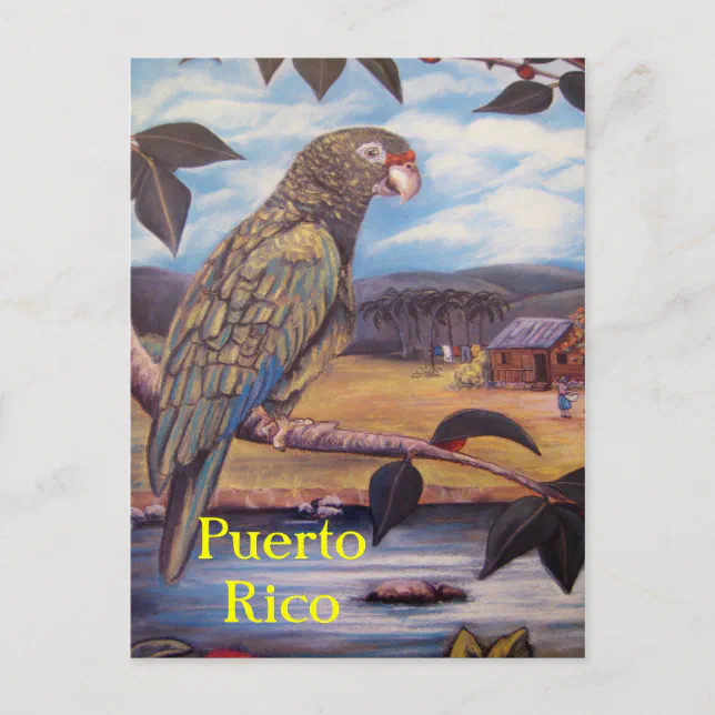 Puerto Rico Postcard | Zazzle