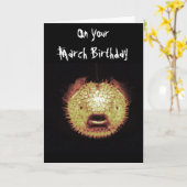 PUFFER FISH SAYS ***HAPPY BIRTHDAY*** LET'S FISH CARD | Zazzle